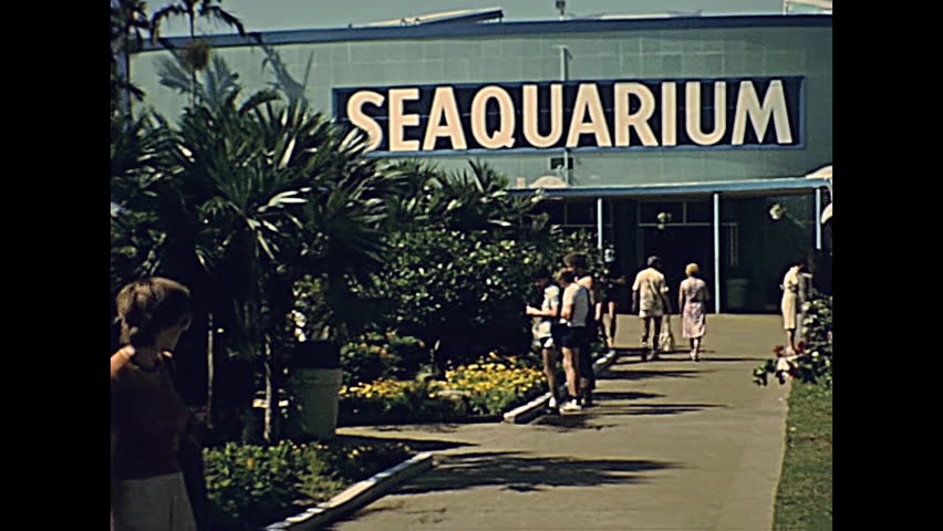 Stock Video Clip of Miami, Florida, United States - Circa 1978 ...