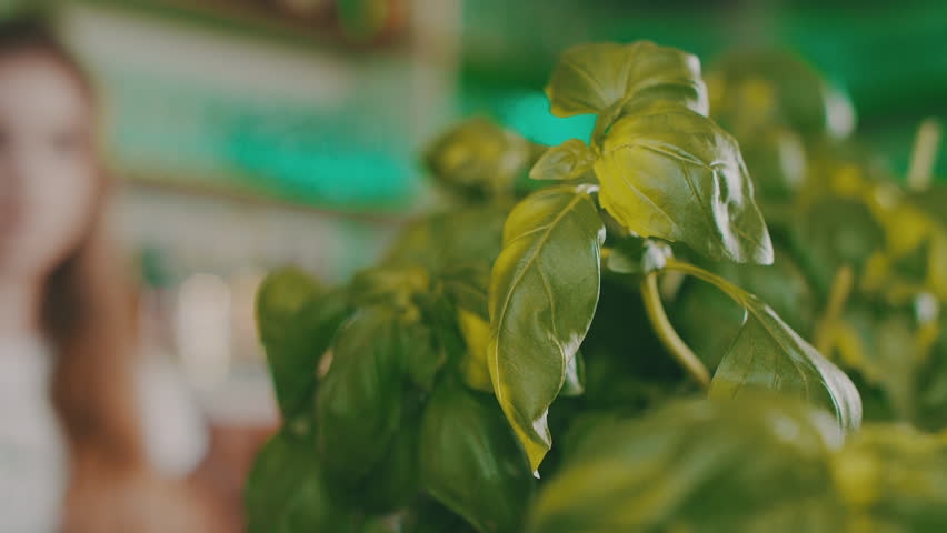 Pizza with leaves on a plate image - Free stock photo - Public Domain ...