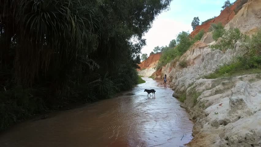 Dog walking by the stream image - Free stock photo - Public Domain ...