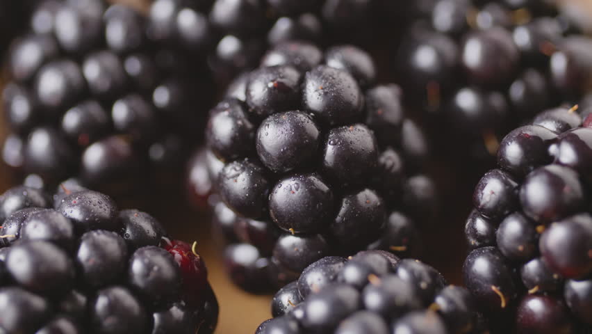 Freshly picked Blackberries image - Free stock photo - Public Domain ...