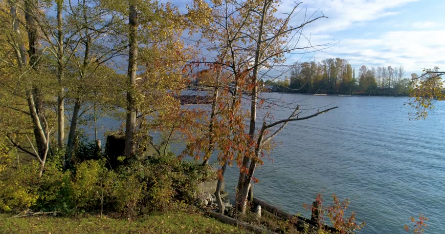 A Logging Boom Boat Is Moored Alongside A Fast Moving River/Boom Boat/A ...