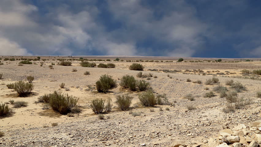 Stone Desert (typical Arid Landscape), Video de stock (totalmente libre ...