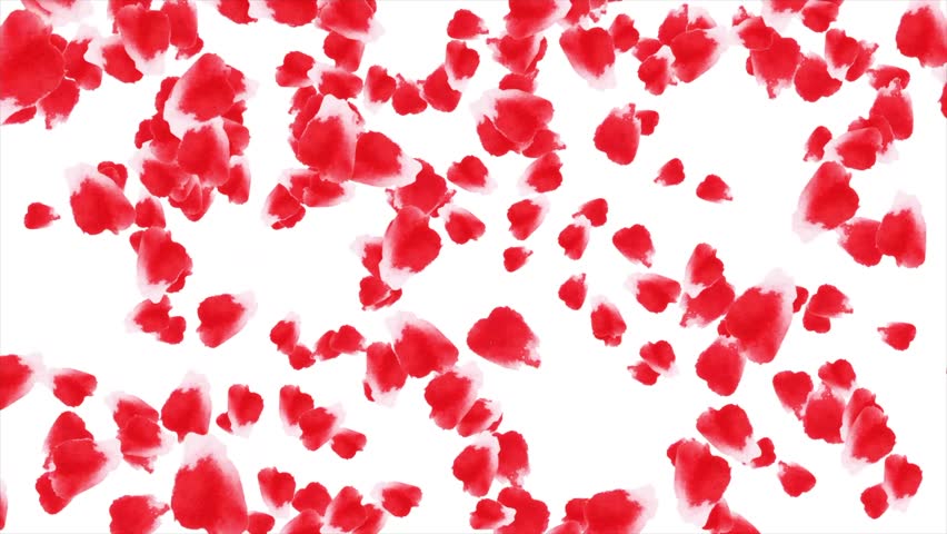 Falling Petals Roses Animation On Stock Footage Video (100% Royalty ...