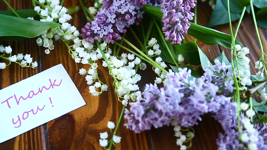 Thank You Spring Flowers Stock Video Footage - 4K and HD Video Clips ...