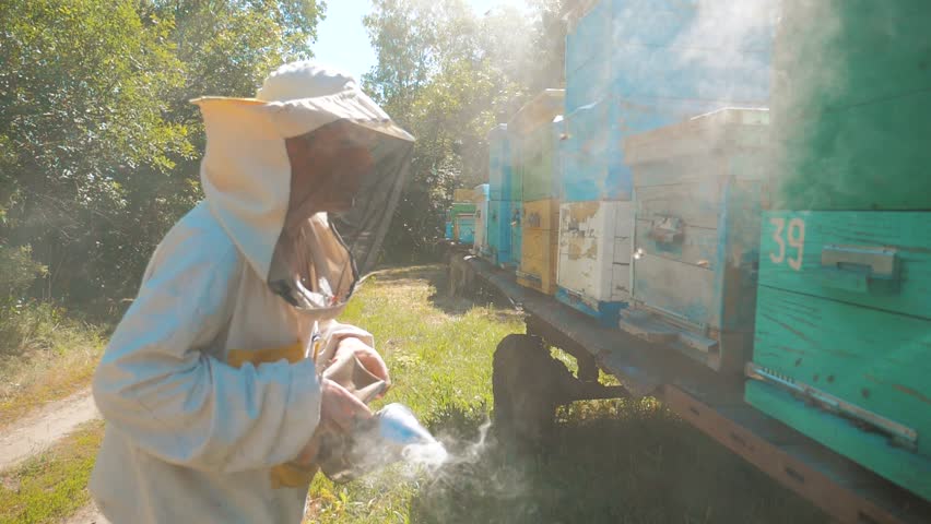 Bee-maker Beekeeper Man Working of Stock Footage Video (100% Royalty ...