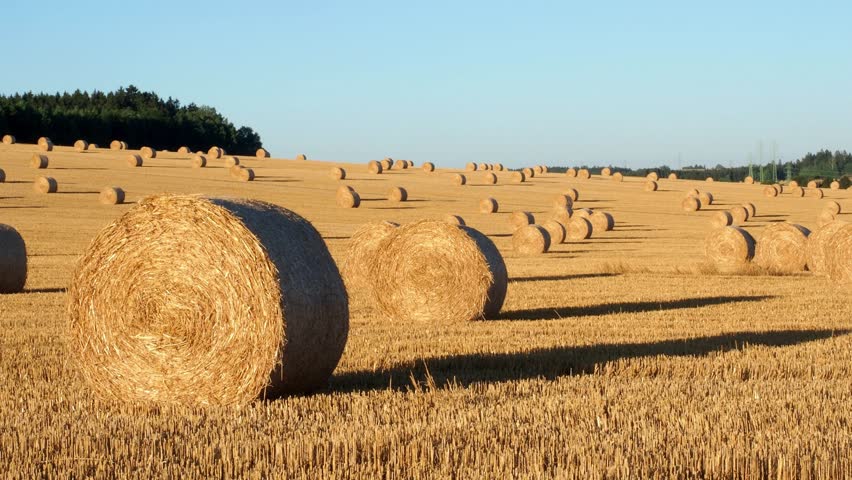 Farm landscape with fields and bales of hay image - Free stock photo ...