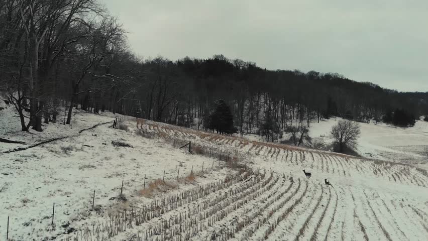 Landscape of the Snowy Field in Wisconsin image - Free stock photo ...