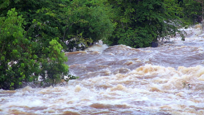 Stock Video Clip of Tropical river floods the African jungle, close-up ...