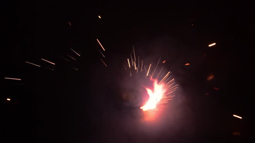 Firecracker Flower image - Free stock photo - Public Domain photo - CC0 ...