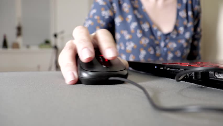 Hand Holding Mouse image - Free stock photo - Public Domain photo - CC0 ...