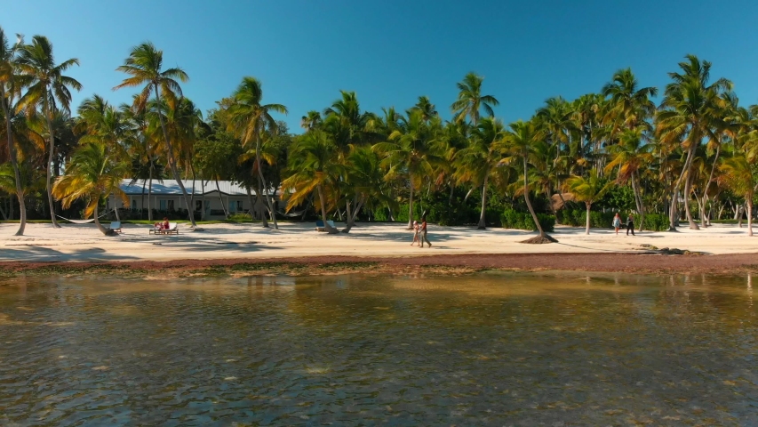Beach and trees at Key Largo, Florida image - Free stock photo - Public ...