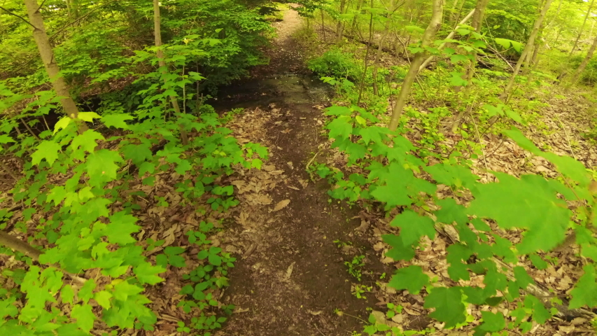 Hiking trail at Spring Green Preserve image - Free stock photo - Public ...