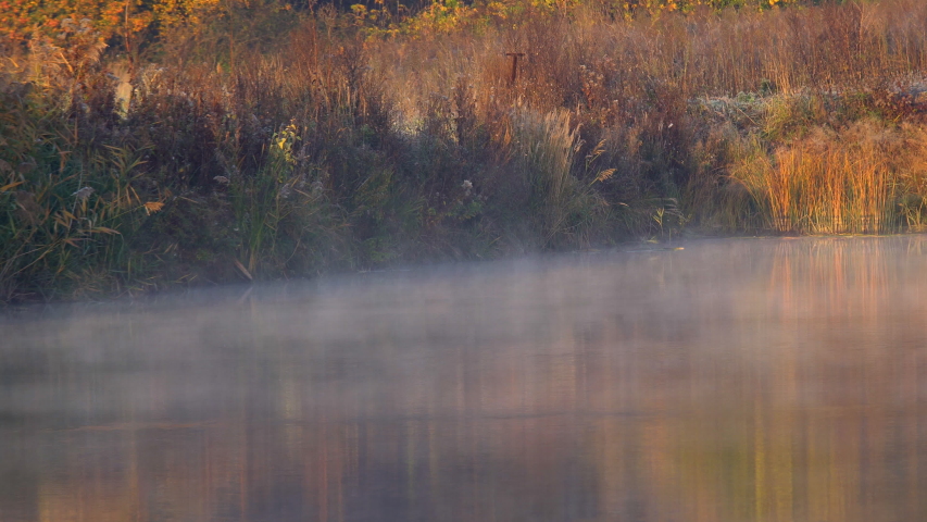 Fog and Mist over the lake landscape at Sunset image - Free stock photo ...