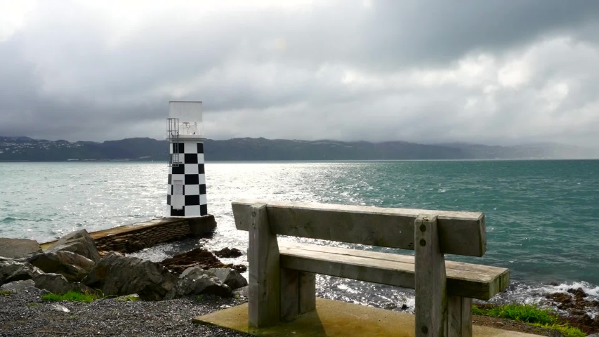 Wellington Harbour in New Zealand image - Free stock photo - Public ...