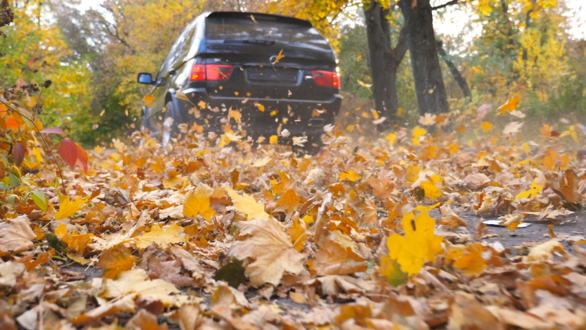 Cars on the Autumn road under leaves image - Free stock photo - Public ...