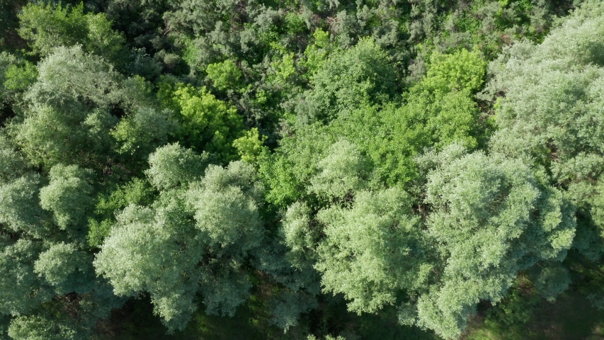 Looking down into the Valley with grasses and trees image - Free stock ...