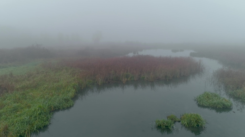 Fog on the water and wooden trail with tree image - Free stock photo ...