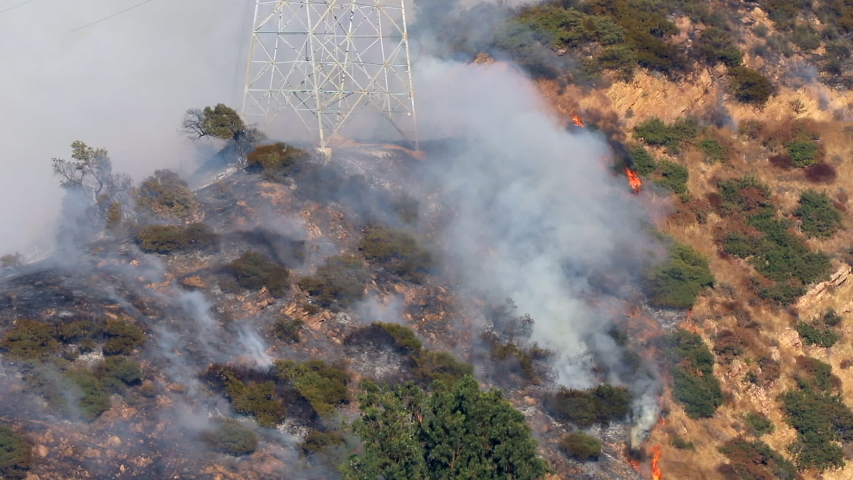 Firefighter fighting forest fires image - Free stock photo - Public ...