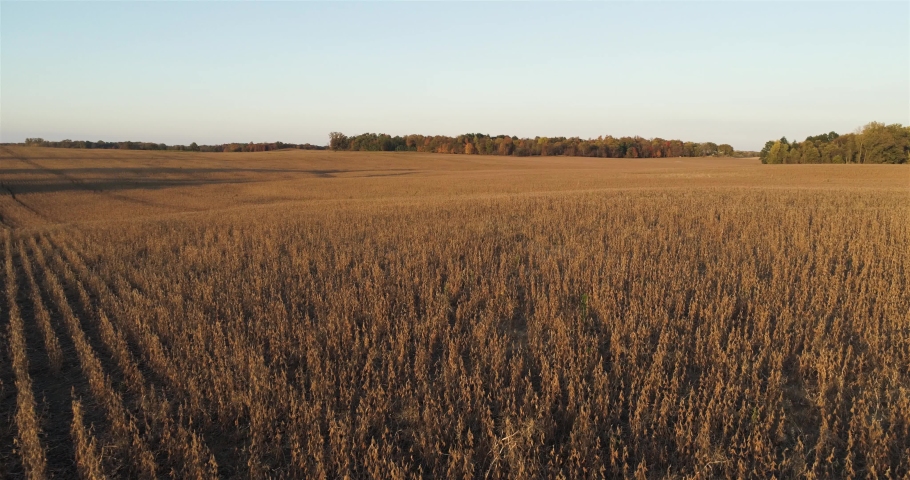 Sunset over the Horizon on the farmland image - Free stock photo ...