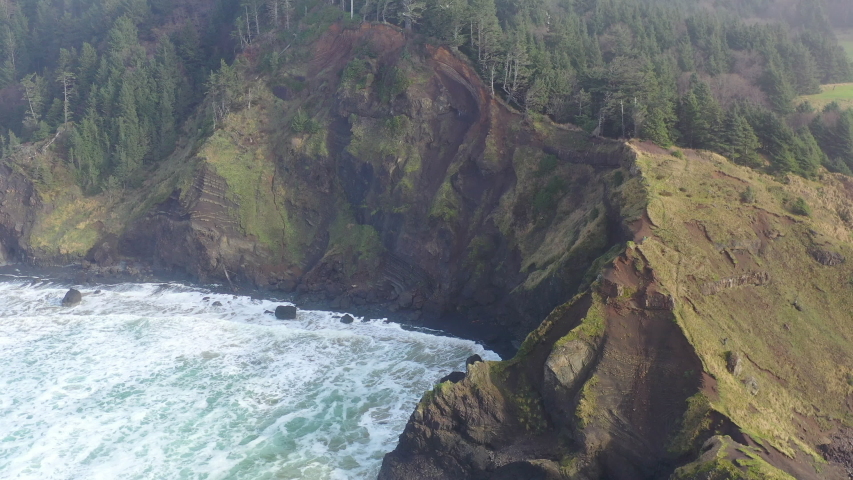 Shoreline landscape with beach and forest in Oregon image - Free stock ...