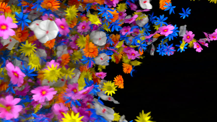 Stock video of transition with flowers | 1128043 | Shutterstock