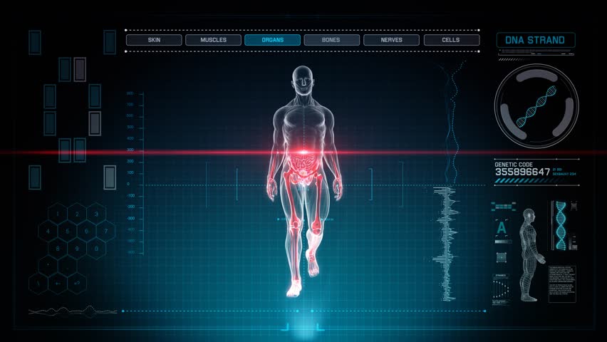 Human Anatomy WALKING With Futuristic Touch Screen Scan Interface In 3D ...