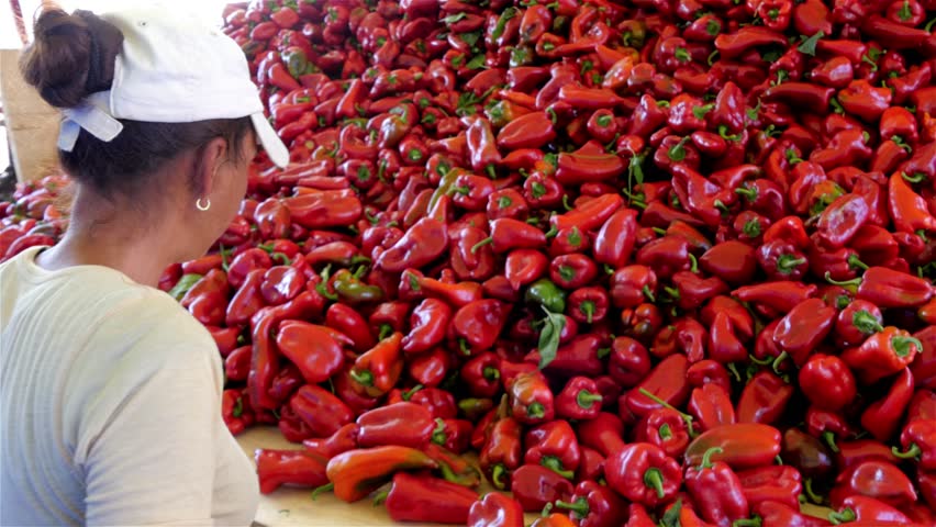 Stock Video Clip of Female worker sorting red peppers from the ...