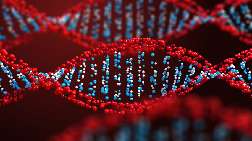 Rotating Dna Helix Seamless and Stock Footage Video (100% Royalty-free ...