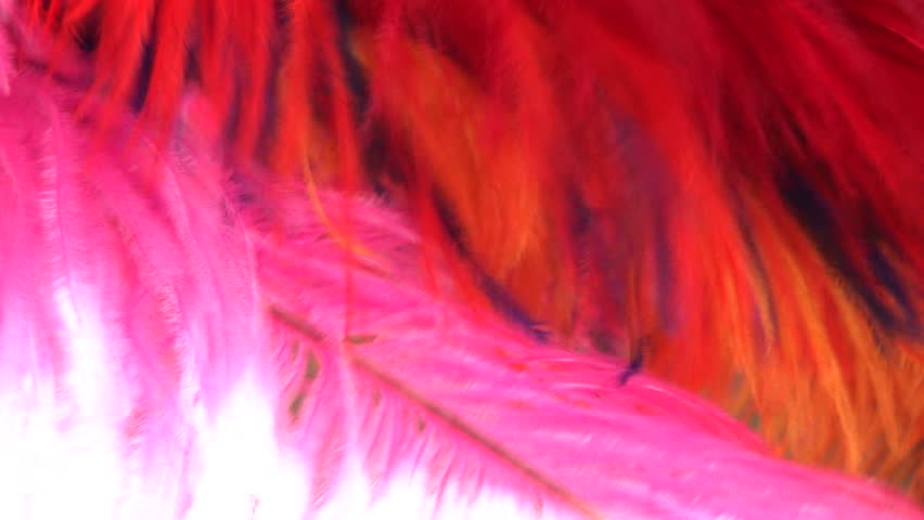 Tickle Stock Footage Video | Shutterstock