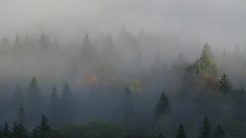 Time-lapse of Fog Moving Along Stock Footage Video (100% Royalty-free ...