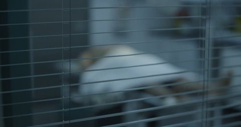 Forensic Autopsy Stock Video Footage - 4K and HD Video Clips | Shutterstock