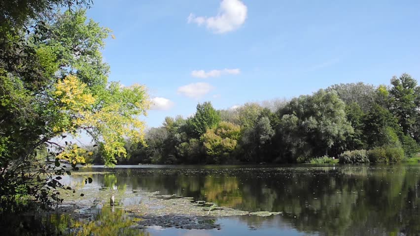 Backwater Of Oder River, Lower Oder Valley National Park, Germany Stock ...