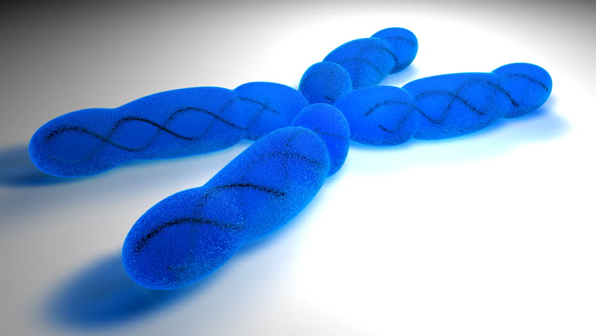 Stock video of chromosome x 3d animation. rendered in | 1452973 ...