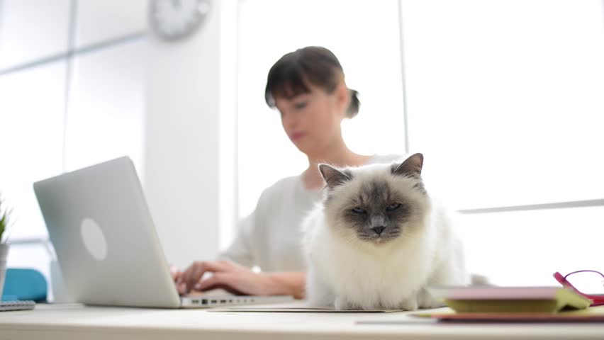 Smiling Young Woman Working At Home And Typing On A Laptop, Her ...