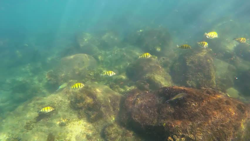 Underwater View Of The Lake And Its Lake Bed. The Soil Underneath The ...