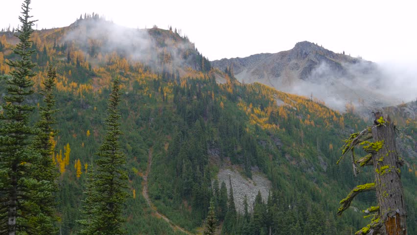 Beautiful Rocky Mountains. Sharp Peaks. Rocky Mountain Slopes. Fir ...