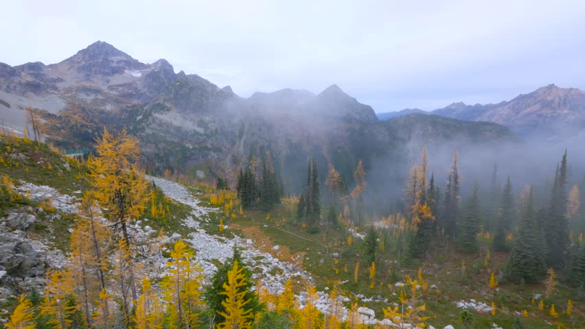 Beautiful Rocky Mountains. Sharp Peaks. Rocky Mountain Slopes. Fir ...