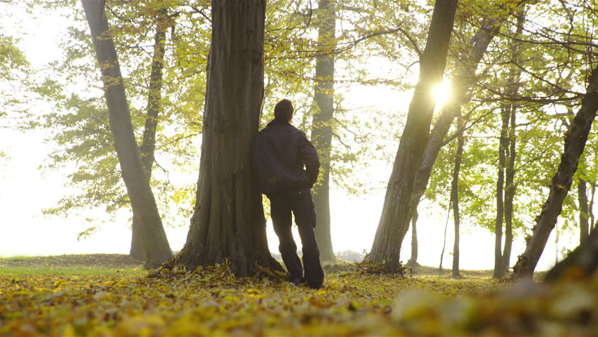 A Couple Of People Rake Fallen Leaves From Large Tree Into Pile During ...