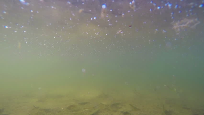 Underwater Footage of Muddy Waters Stock Footage Video (100% Royalty ...