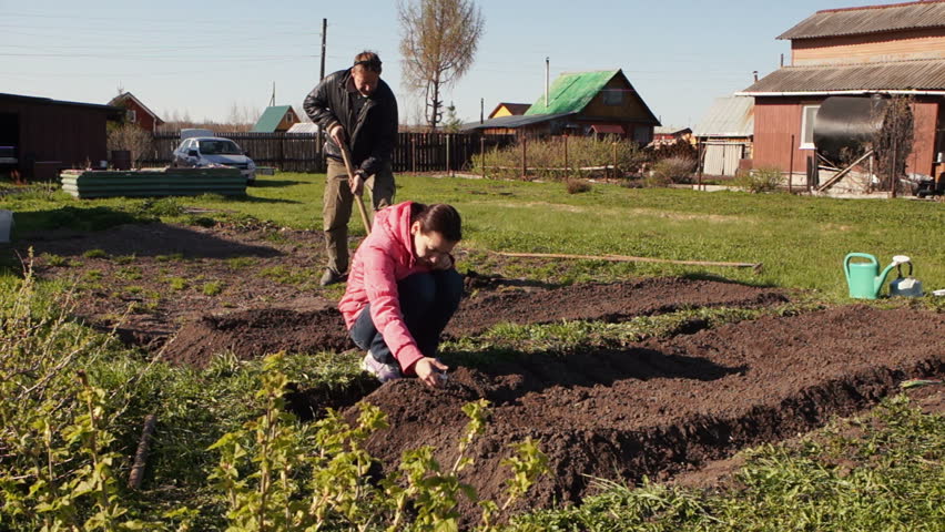 Stock video of planting seeds, kitchen garden. work in | 16350703 ...