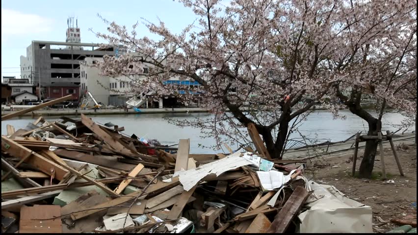 Earthquake,tsunami,japan,311 Stock Footage Video 16541125 | Shutterstock