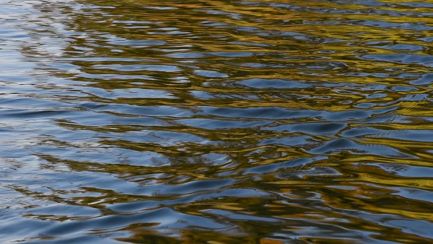 Moving Ripples On Green Water Surface Of Tropical Rain Forest River ...