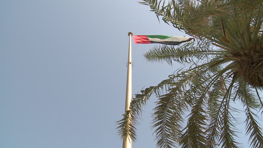 Scene Of Real Flag Of Saudi Arabia With A Dates Palm Tree And Fortress ...