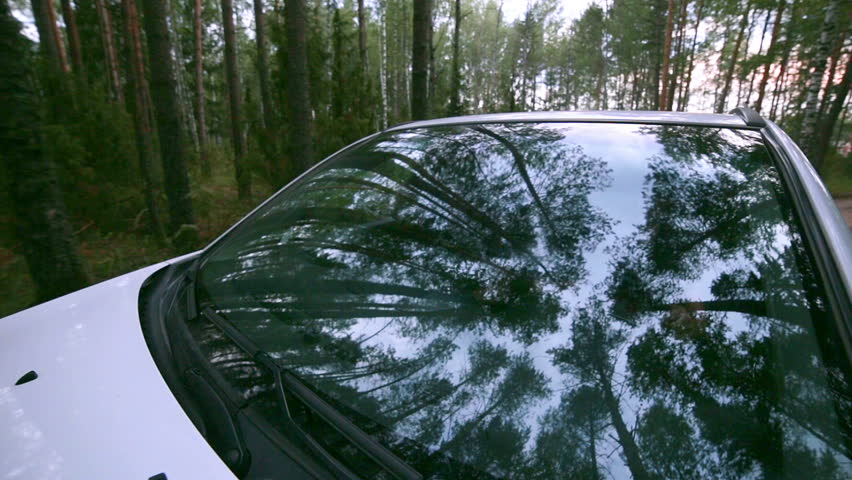 Trees Reflected in Car Window. Stock Footage Video (100% Royalty-free ...