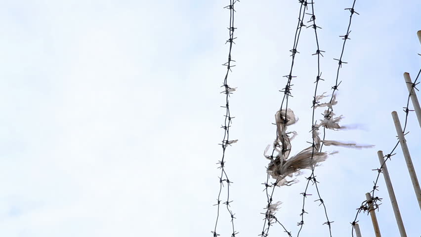 Torn Rags Swaying in the Stock Footage Video (100% Royalty-free ...