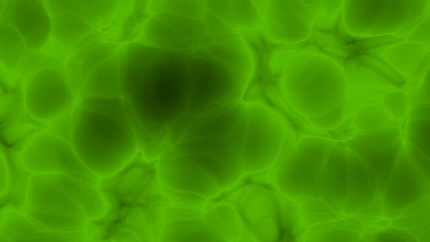 Green Biomass Under Microscope - Stock Footage Video (100% Royalty-free ...