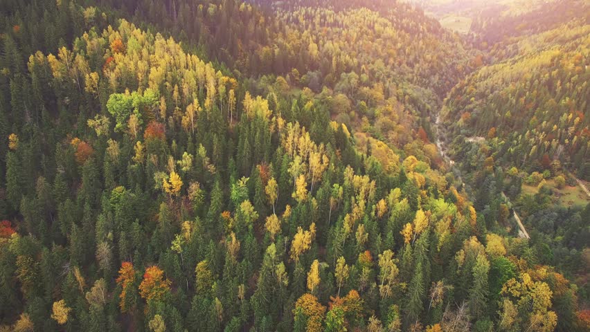 Stock Video Clip of Aerial Drone Footage View: Flight over autumn ...