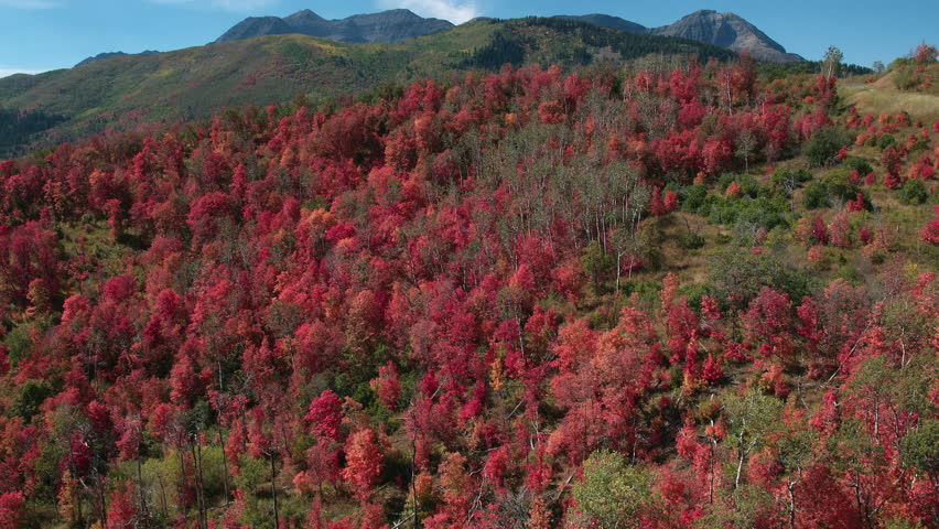 Aerial View of Fall Color Stock Footage Video (100% Royalty-free ...