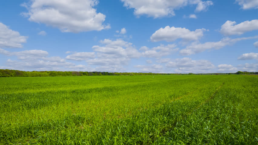 Spring Rural Scene, Green Fields Stock Footage Video (100% Royalty-free ...