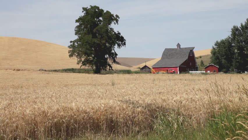 Farmland in Eastern Washington State, Stock Footage Video (100% Royalty ...